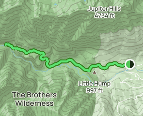 Duckabush River Trail to Five Mile Camp, Washington - 800 Reviews, Map ...