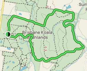 Brisbane Koala Bushlands Loop: 133 foto - Queensland, Australia | AllTrails