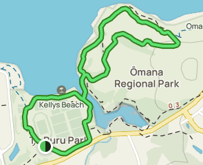 Te Puru Park to Omana Beach Loop, Auckland, New Zealand - 64 Reviews ...