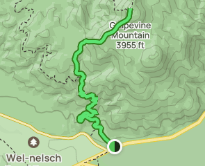 Grapevine Mountain via PCT, California - 59 Reviews, Map | AllTrails
