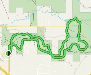 Cadillac Pathway Double Loop : 90 Reviews, Map - Michigan | AllTrails
