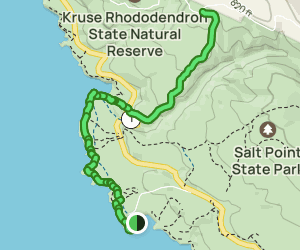 Salt Point-Stump Beach Trail: 46 Reviews, Map - California | AllTrails