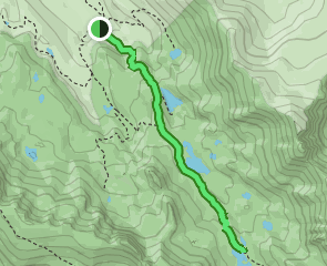 Barney Lake Trail, California - 1,013 Reviews, Map | AllTrails