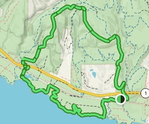 Wilder Ridge, Baldwin, Ohlone Bluff and Old Cove Landing Trail: 1109 Reviews, Map - California ...