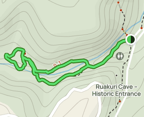Ruakuri Tunnels Walk, Waikato, New Zealand - 156 Reviews, Map | AllTrails