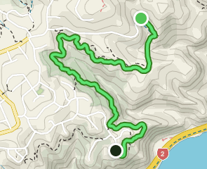 Te Ara Paparārangi, Wellington, New Zealand - 64 Reviews, Map | AllTrails