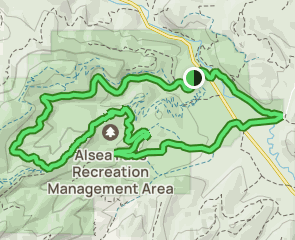 Alsea Falls Recreation Area Loop, Oregon - 29 Reviews, Map | AllTrails