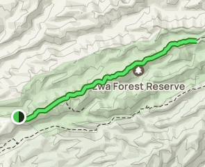 Mānana Ridge Trail, Oahu, Hawaii - 797 Reviews, Map | AllTrails