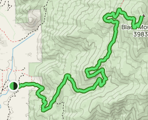 Black Mountain OHV Trail, California - 524 Reviews, Map | AllTrails