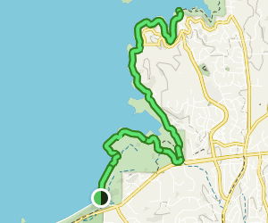 Mormon Island Browns Ravine Trail: 375 Reviews, Map - California ...