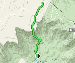 Babe Haught Trail #143: 88 Reviews, Map - Arizona | AllTrails