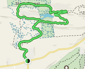 Bee Trail Loop Trail, New York - 355 Reviews, Map | AllTrails