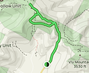 Bearpen Mountain Trail: 723 Fotos - New York | Wandern | AllTrails