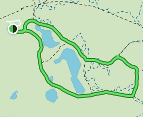 Starkey Park Short Loop, Florida - 542 Reviews, Map | AllTrails