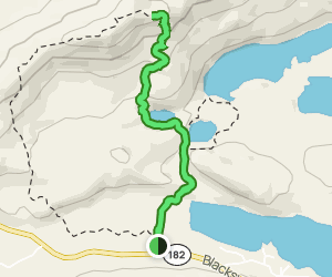 Tunk Mountain Ridge Trail: 281 Reviews, Map - Maine | AllTrails