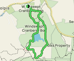 Stump Pond Loop: 74 Reviews, Map - Massachusetts | AllTrails