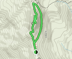 Red Top Lookout Trail, Washington - 482 Reviews, Map | AllTrails