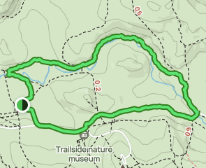 Fox Run Trail: 97 Reviews, Map - New York | AllTrails