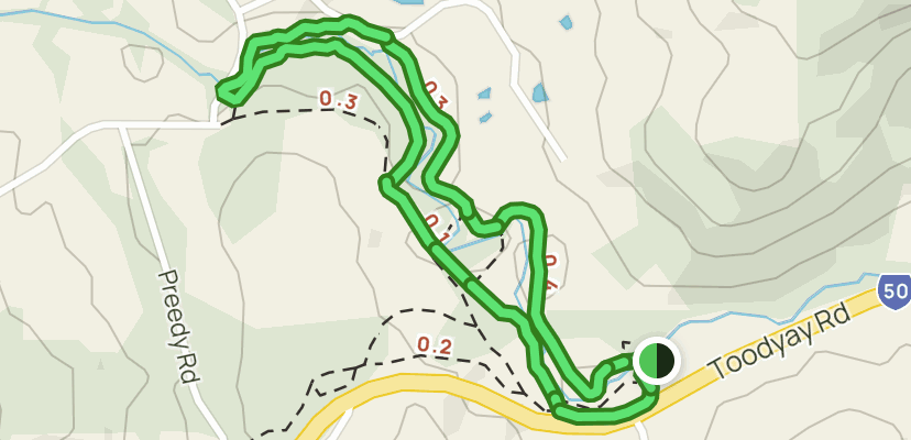 Are Dogs Allowed At Noble Falls