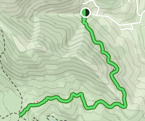 Mint Spring Trail | Map, Guide - Arizona | AllTrails