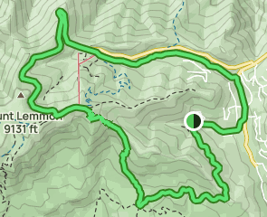 Mint Springs from Summerhaven Loop, Arizona - 162 Reviews, Map | AllTrails
