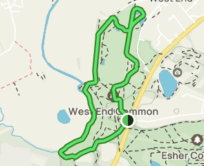 Esher Commons and West End Common Circular: 268 Fotos - Surrey, England ...