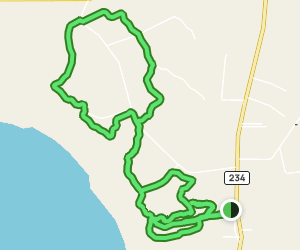 Newnans Lake Loop: 37 Reviews, Map - Florida | AllTrails