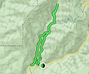 Wolf Creek Canyon Trail - Utah | AllTrails