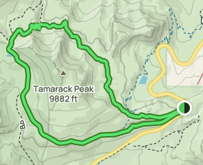 Tamarack Peak Loop, Nevada - 882 Reviews, Map | AllTrails