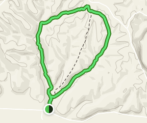 Chinquapin Trail: 382 Reviews, Map - Missouri | AllTrails