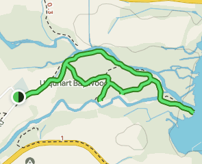 Urquhart Bay Woods and Loch Ness Circular, Highlands, Scotland - 221 ...