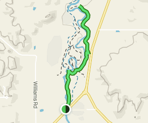 Boardman River Trail: 179 Reviews, Map - Michigan | AllTrails