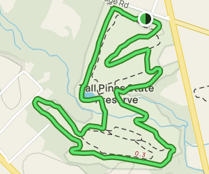 Tall Pines | Map, Guide - New Jersey | AllTrails