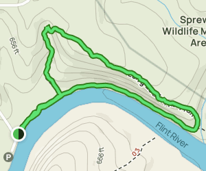 AllTrails | Long Leaf Pine Trail Loop: 92 Reviews, Map - Georgia