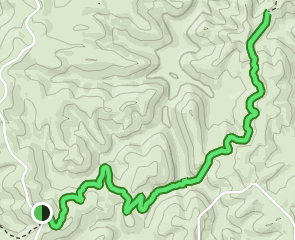 Pinhoti Trail to Lower Shoal Shelter, Alabama - 37 Reviews, Map | AllTrails