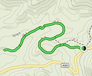 Salado Canyon Trail: 119 Reviews, Map - New Mexico | AllTrails