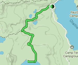 Timber Lake Trail: 6 fotos - Oregon | AllTrails