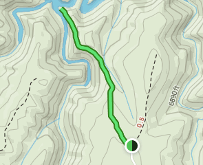 Blueridge Canyon Trail: 9 fotos - Arizona | AllTrails