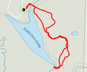 Fullerton Sawmill Short Loop and Long Loop Trails [CHIUSO] - Louisiana ...