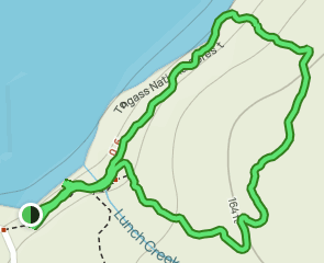 Lunch Falls Trail, Alaska - 66 Reviews, Map | AllTrails