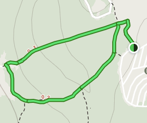 Evergreen State College Trail: 56 Reviews, Map - Washington | AllTrails