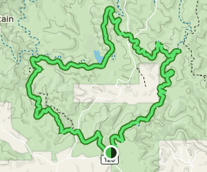 Jake Mountain Loop Trail: 275 Reviews, Map - Georgia | AllTrails