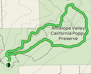 North Loop, Antelope Butte and Lightning Bolt Loop: 383 Reviews, Map ...