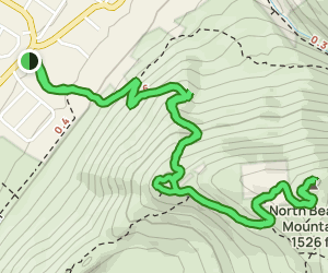 North Beacon Mountain and DAR Monument via Casino Trail: 504 Reviews ...