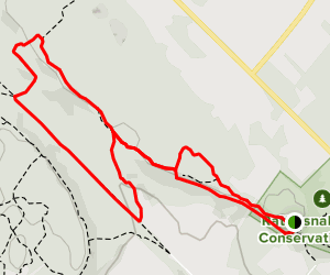 Nassagaweya and Bruce Trail Loop from Rattlesnake Point - Ontario ...