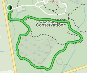Hawk and White Pine Trail Loop: 25 Reviews, Map - Ontario, Canada ...