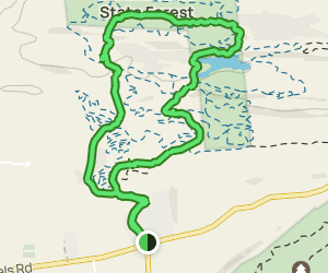 Carriage Trail Loop: 296 Reviews, Map - New York | AllTrails