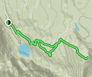 East Ridge Summit via Edith Cavell Meadows Trail: 684 Reviews, Map ...