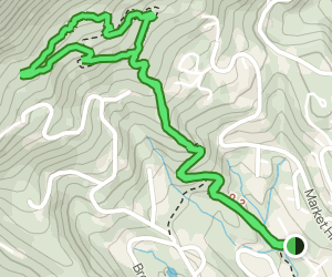 Boone United Trail: 251 Reviews, Map - North Carolina | AllTrails