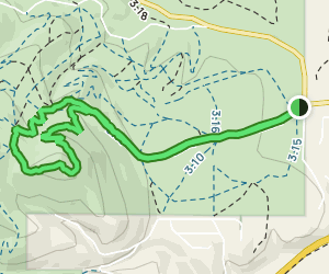Vista Point Loop: 345 Reviews, Map - Montana | AllTrails
